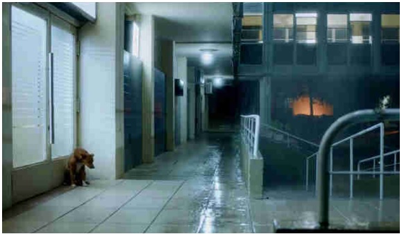 Ông Chủ Và Con Chó – The Man And The Dog - Song ngữ - Buddha Lessons