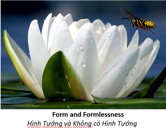 Niêm Hoa Vi Tiếu - The Flower Sermon – Song ngữ - Buddha Lessons