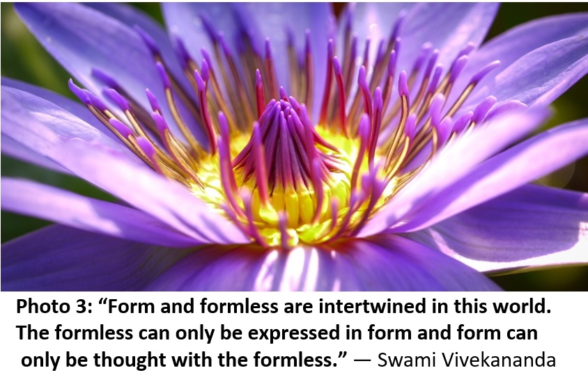 Bài Pháp Thoại Về Hoa Sen 2nd - The Flower Sermon 2nd – Song ngữ ...