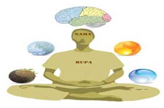 Chương 10 - Danh và Sắc – Rupa and Nama - Song ngữ - Buddha Lessons
