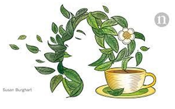 Lợi ích sức khỏe của trà xanh - Health Benefits of Green Tea – Song ngữ ...