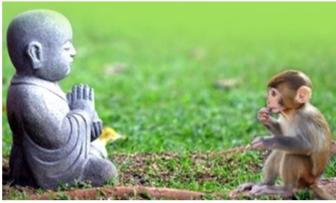 77. Thuần Phục Con Khỉ Trong Tâm Như Thế Nào? - Buddha: How to Tame ...