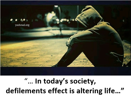 43. Phiền não là gì? - What is Defilement? – Song ngữ - Buddha Lessons